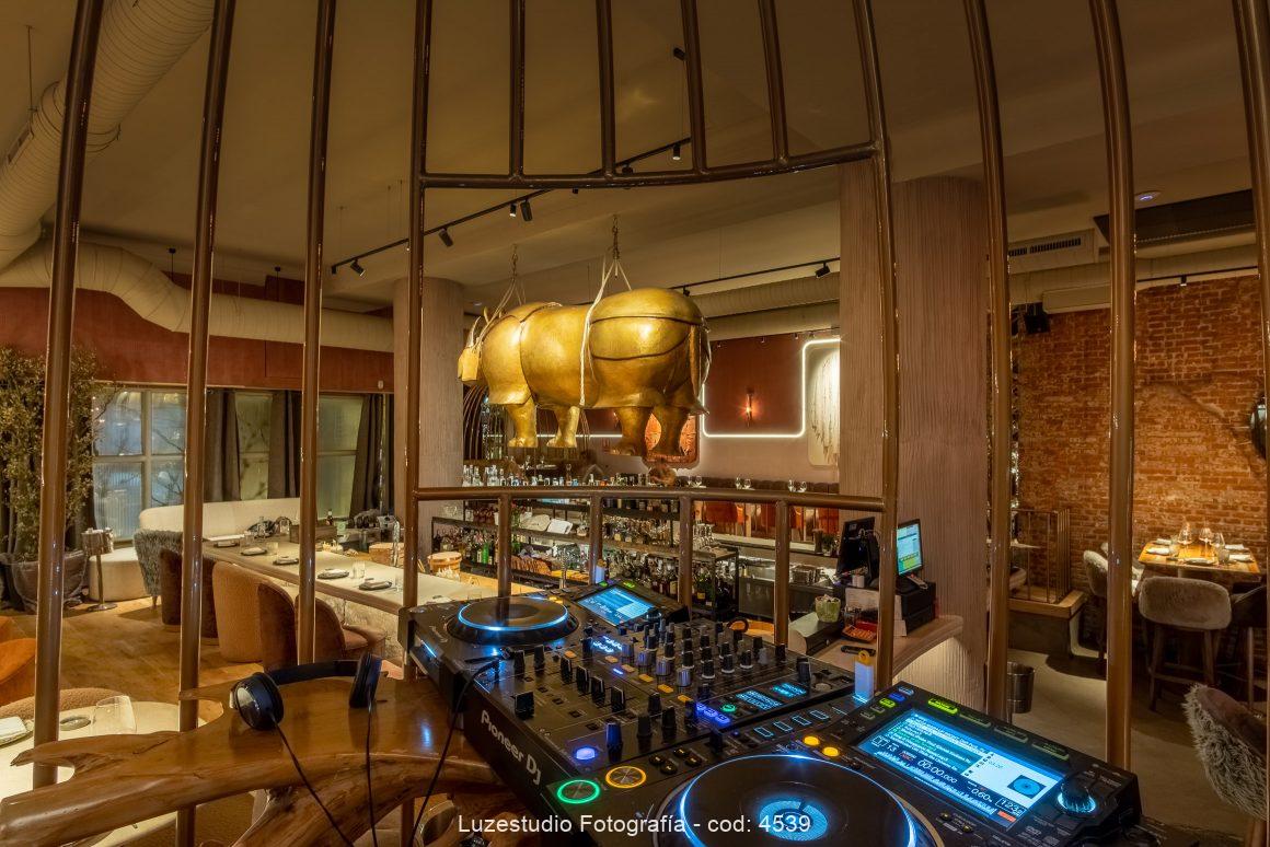 Salvaje | Black Lemon Studio - luzestudio