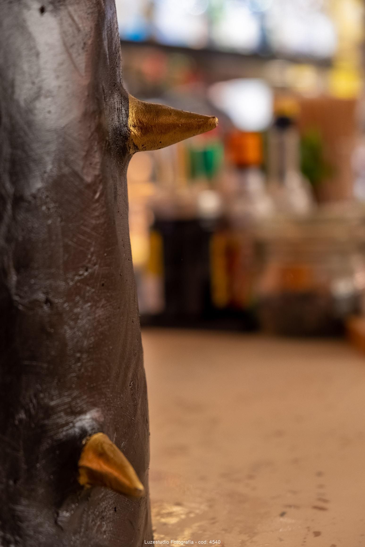 Salvaje | Black Lemon Studio - luzestudio