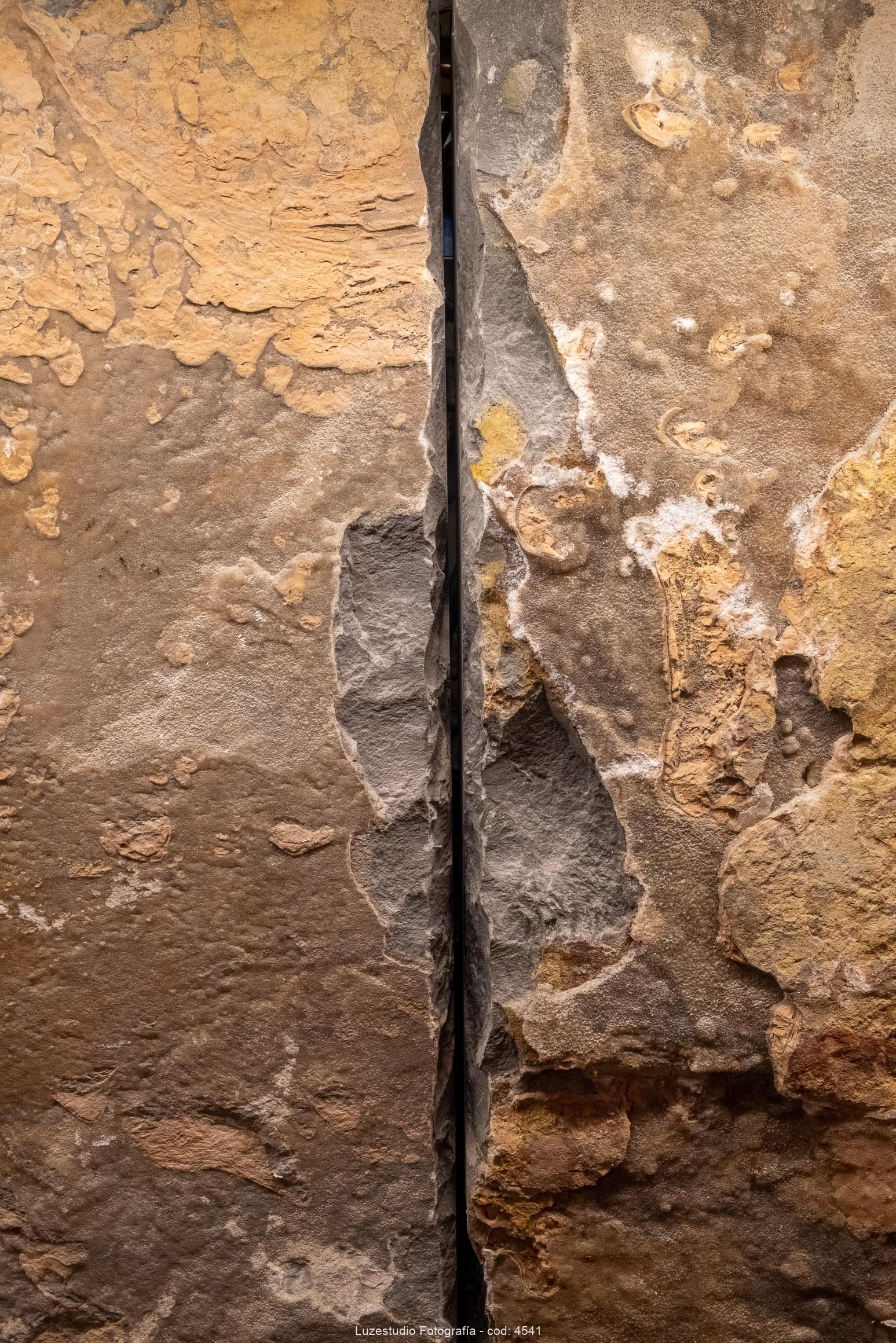 Salvaje | Black Lemon Studio - luzestudio